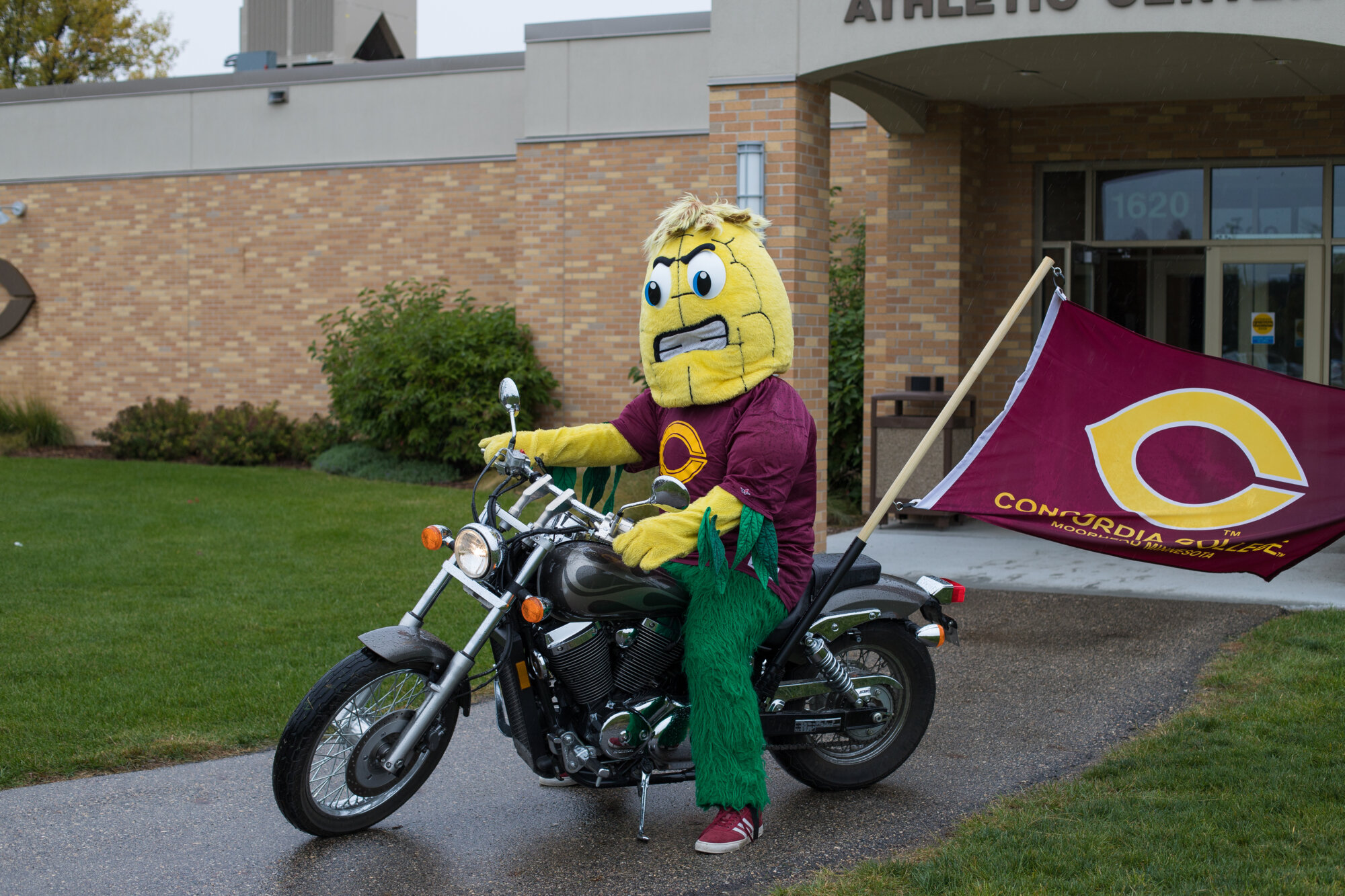 Making a Mascot | Kernel Cobb | Concordia College
