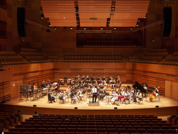 The Concordia Orchestra | Concordia College