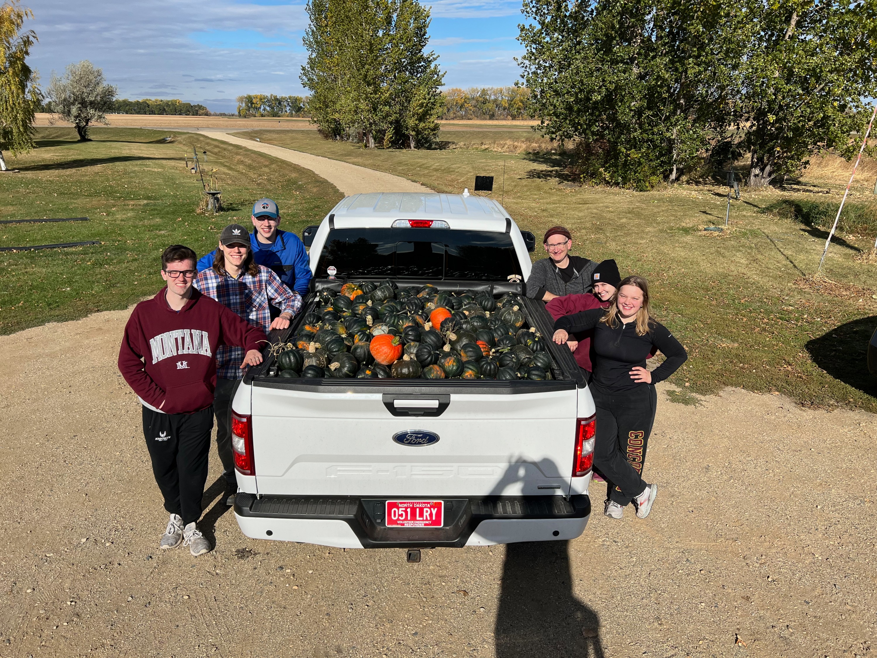 Helping Harvest Crop for Food Donation | Concordia College